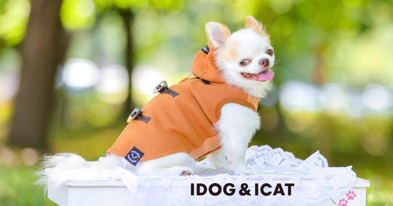 IDOG&ICATは21-22秋冬の新作ペット用ウェアを新発売。防寒用やオシャレが楽しめる新作のお洋服がさっそく100円引になる新作 ...