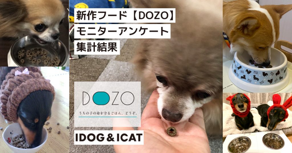 【DOZO】ペットモニターアンケート集計結果 #159 – IDOG&ICAT