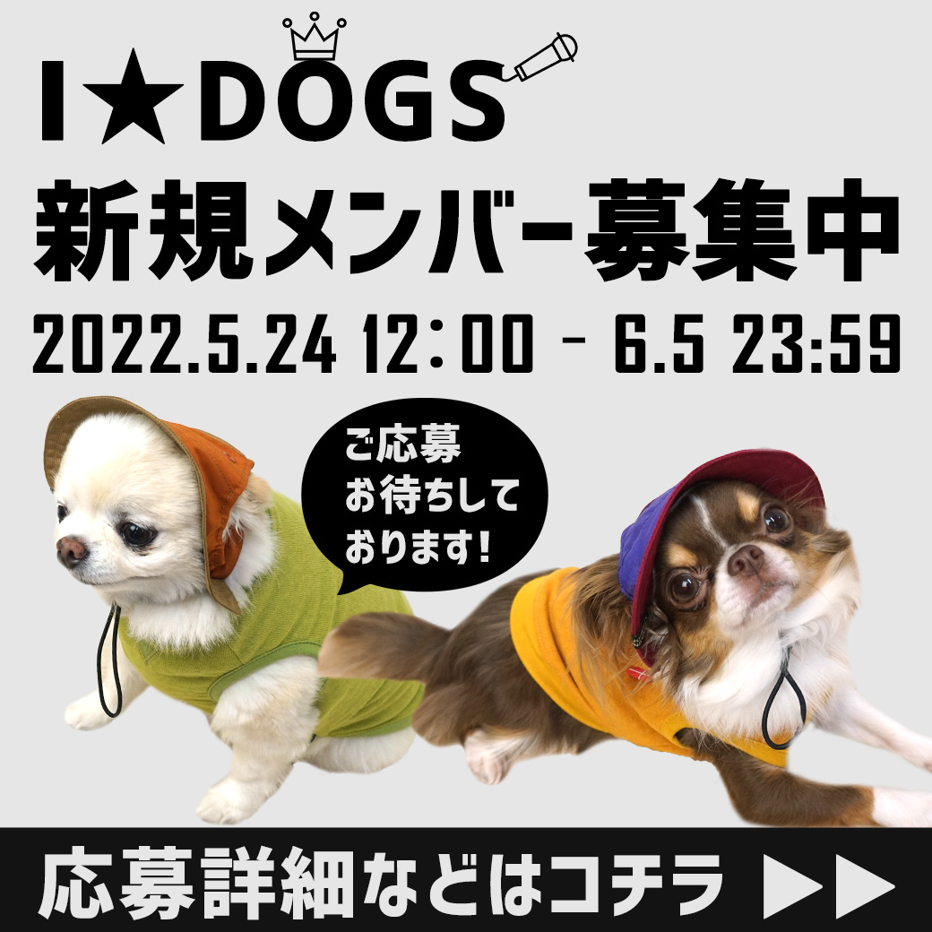 I★DOGS – IDOG&ICAT