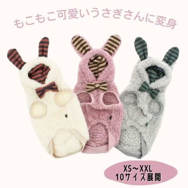 寒さに強い？本当は寒がり？ポメラニアンの防寒対策とかわいい冬服特集 – IDOG&ICAT