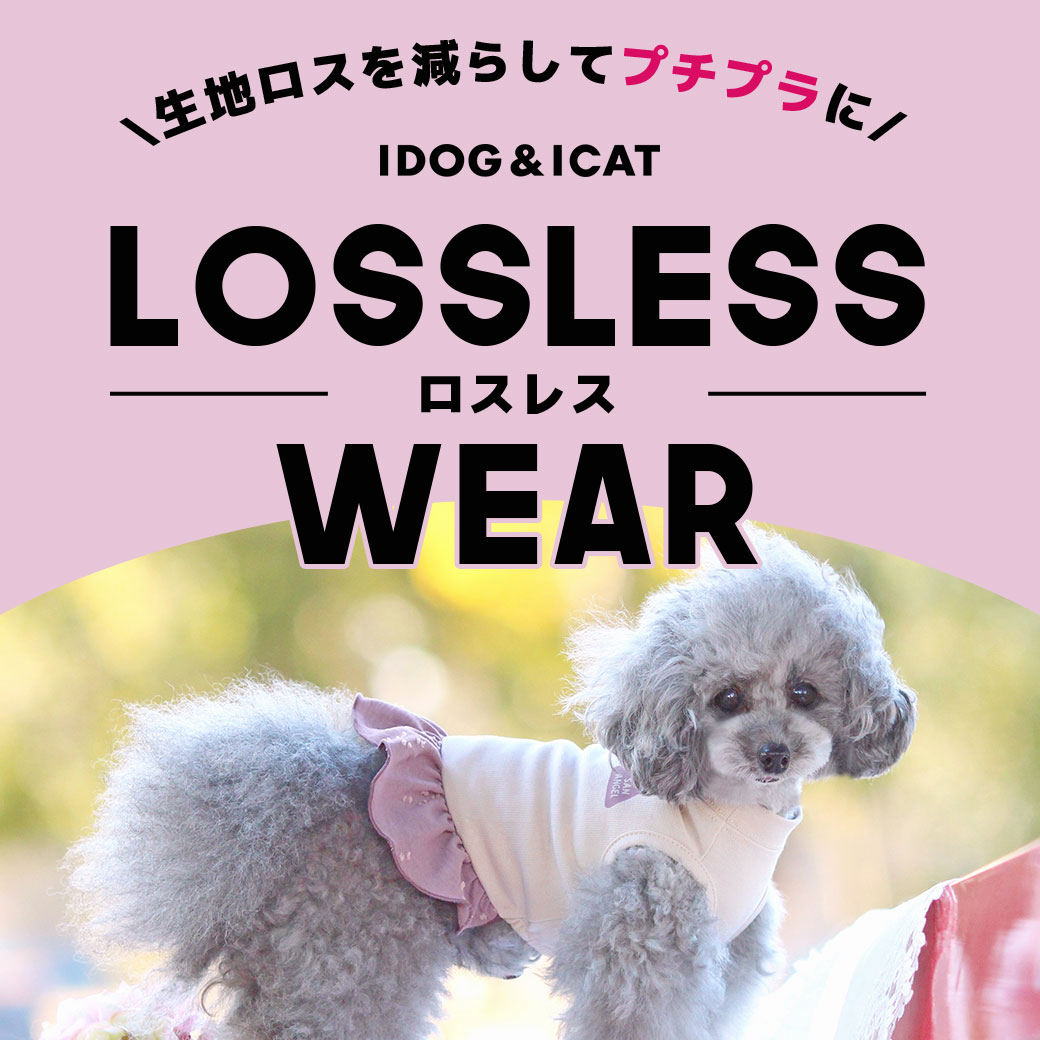 アウトレット – IDOG&ICAT