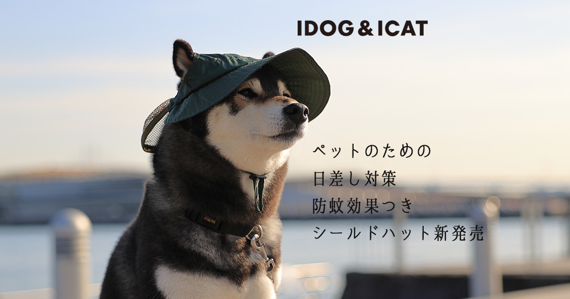 プレスリリース – IDOG&ICAT