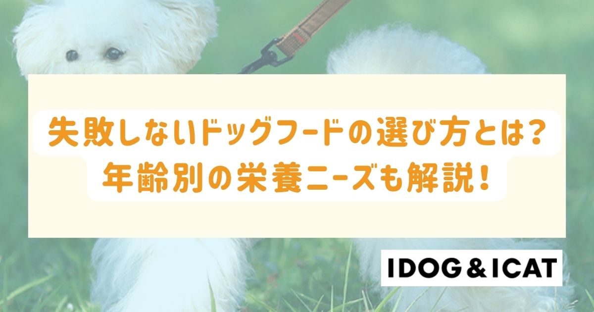 2024年5月 – IDOG&ICAT