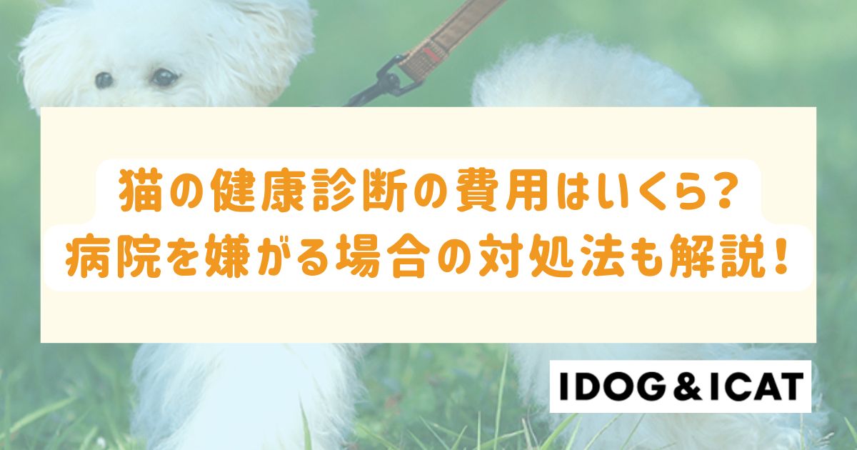 2024年 – ページ 2 – IDOG&ICAT