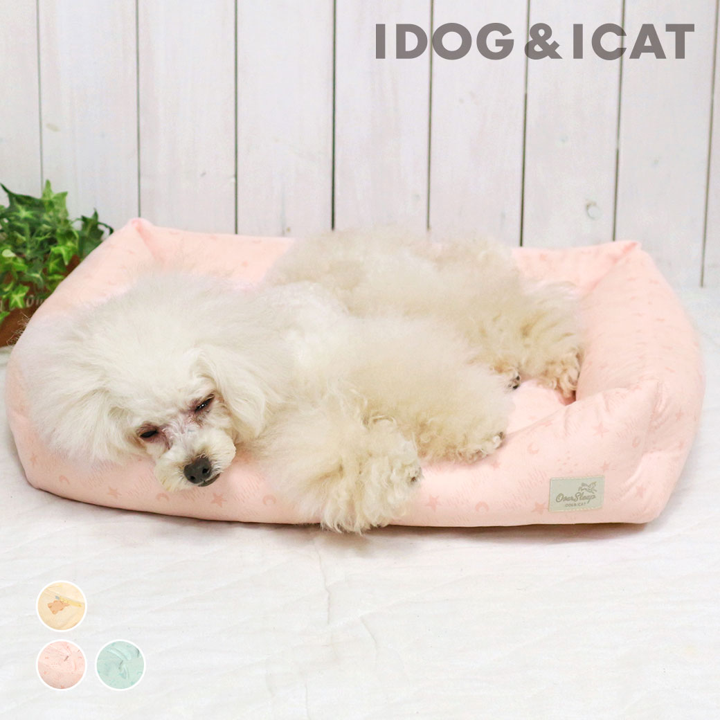 犬が唸る8つの理由とは？状況別に適した対処法を実践しよう！ – IDOG&ICAT