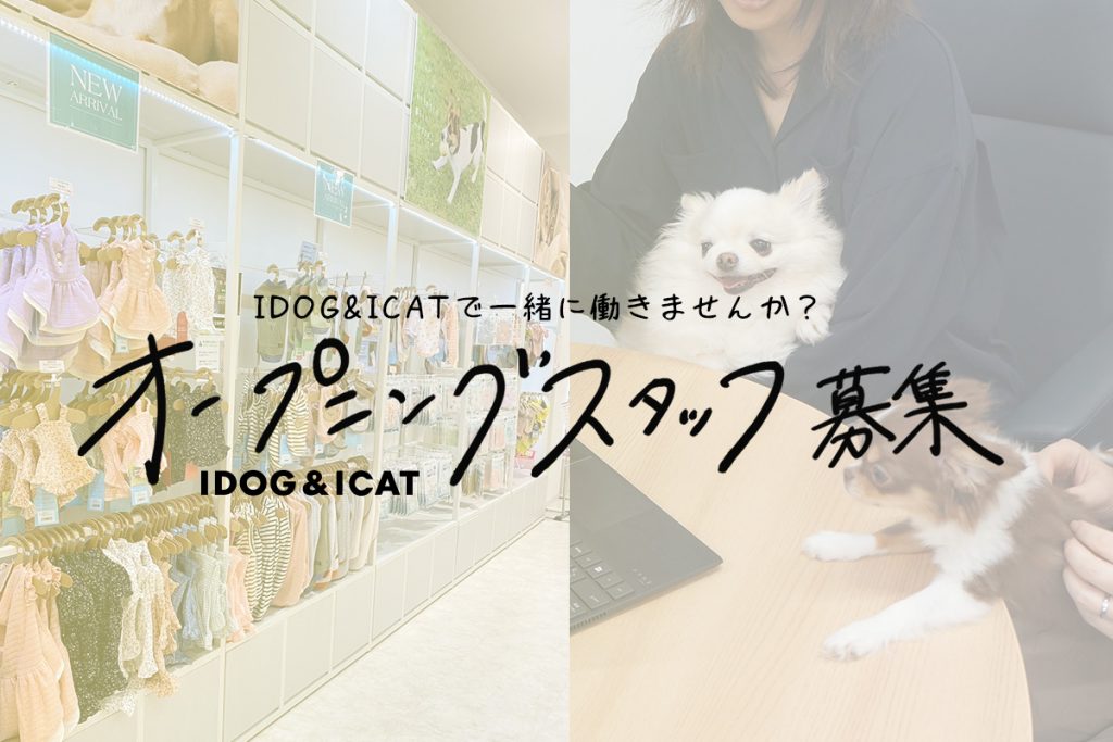 【IDOG&ICAT】の新規直営店舗開店に伴い、新たなスタッフを募集いたします！ – IDOG&ICAT