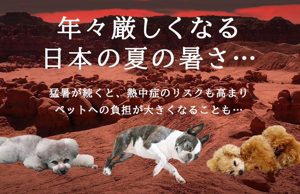 接触冷感・消臭抗菌・UV アイドッグ - 犬 猫ペット用品通販 IDOG&ICAT |ひんやり 犬 服